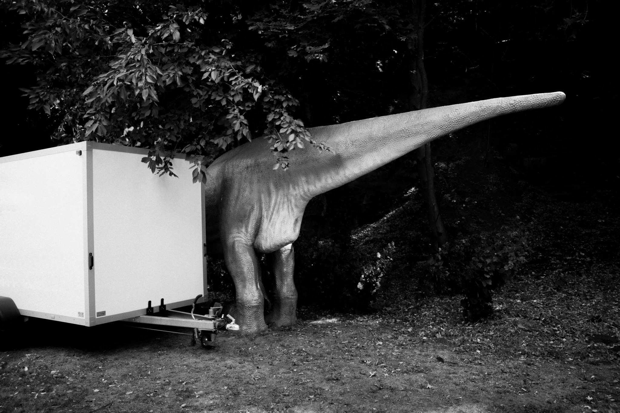 Streettogs Academy 13: “Darkness” Results and Analysis – ERIC KIM