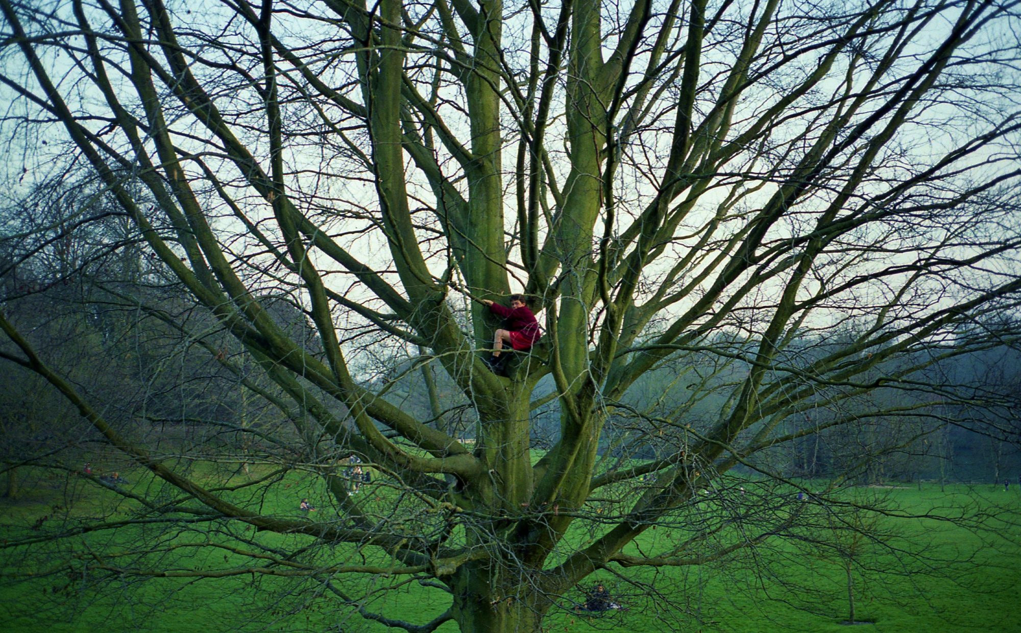 Mixing Prose and Pictures: An Interview with Stephen Leslie on His ...