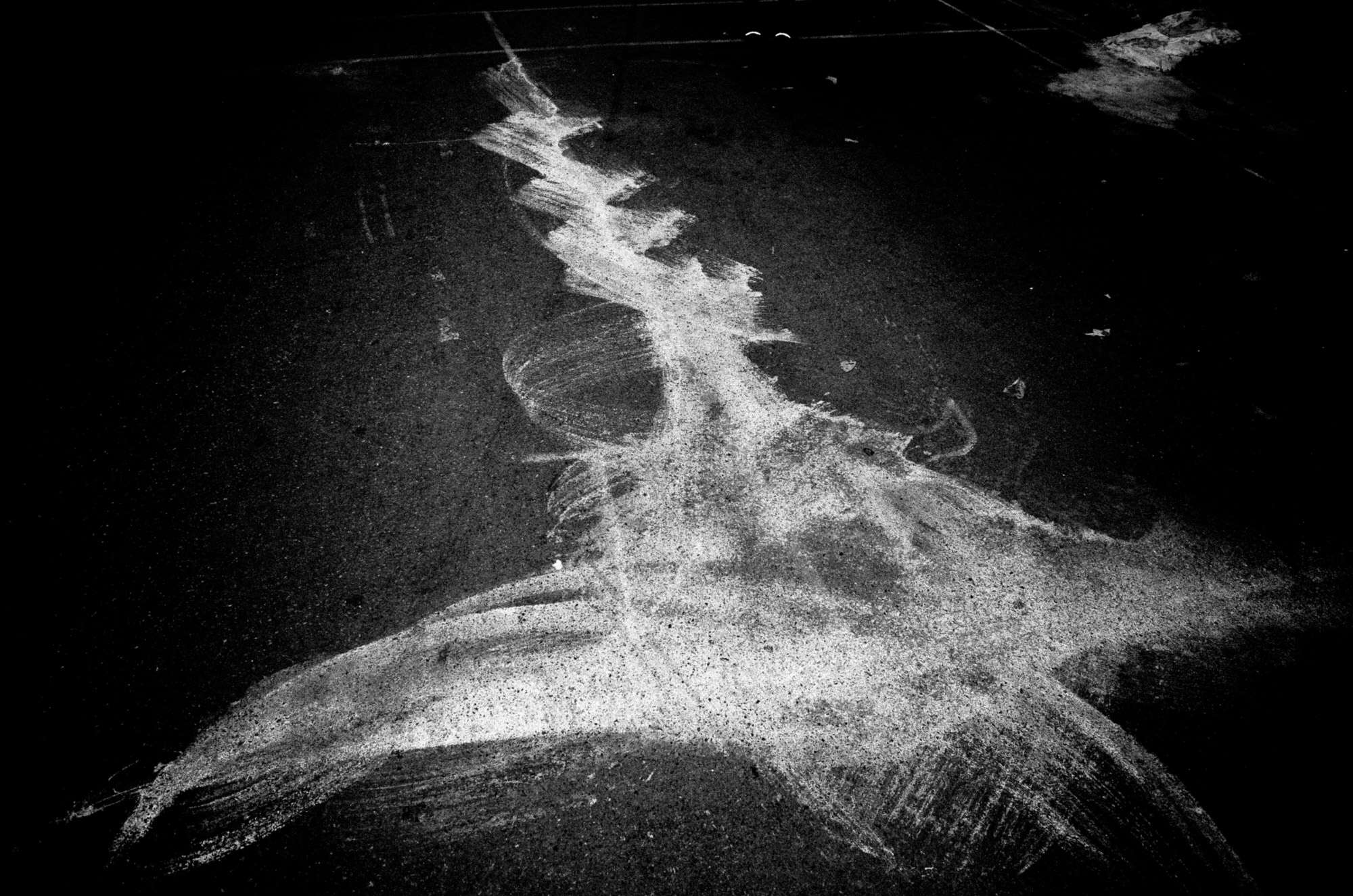 Zen Photography – ERIC KIM