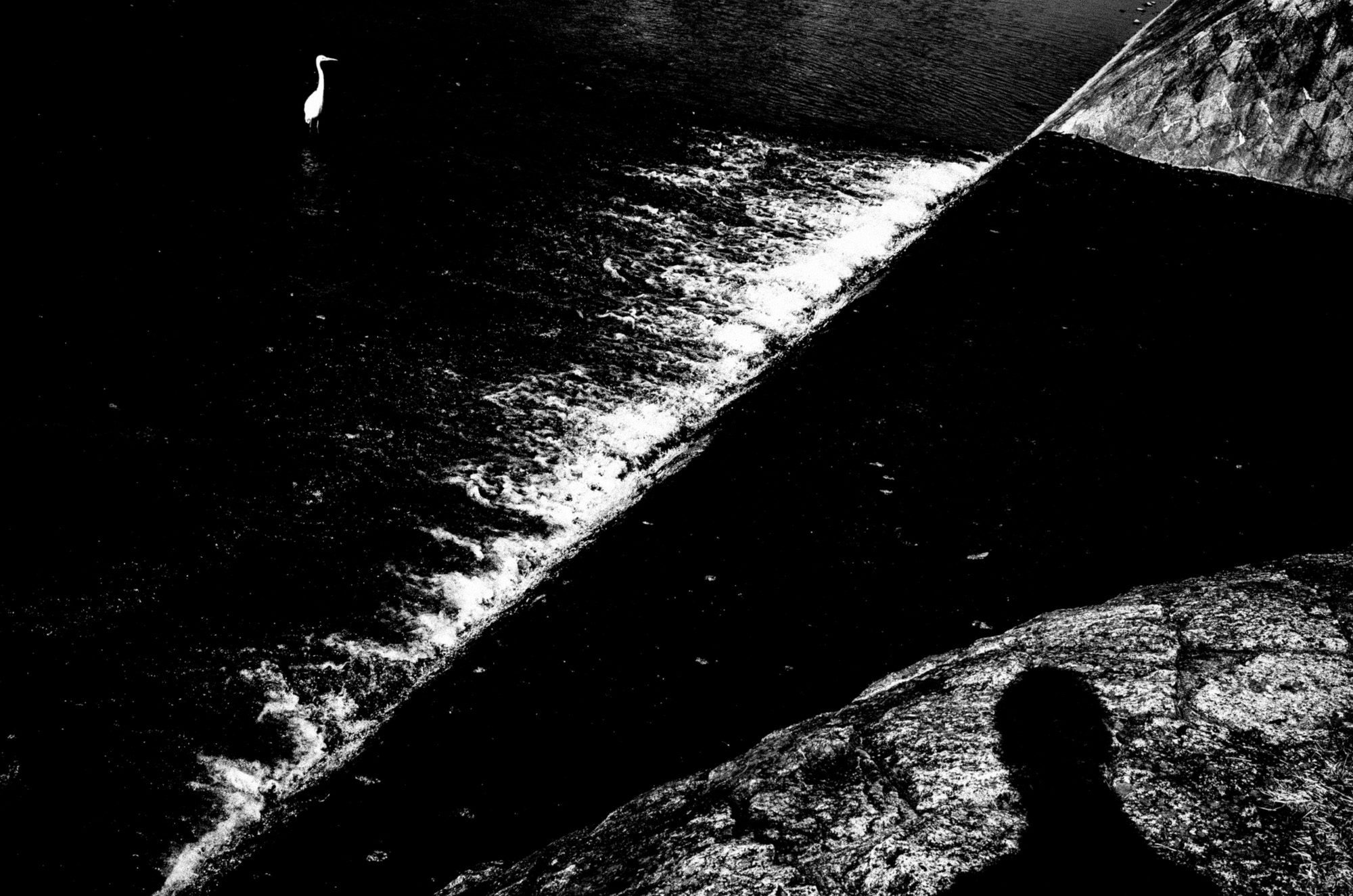 Zen Photography – ERIC KIM