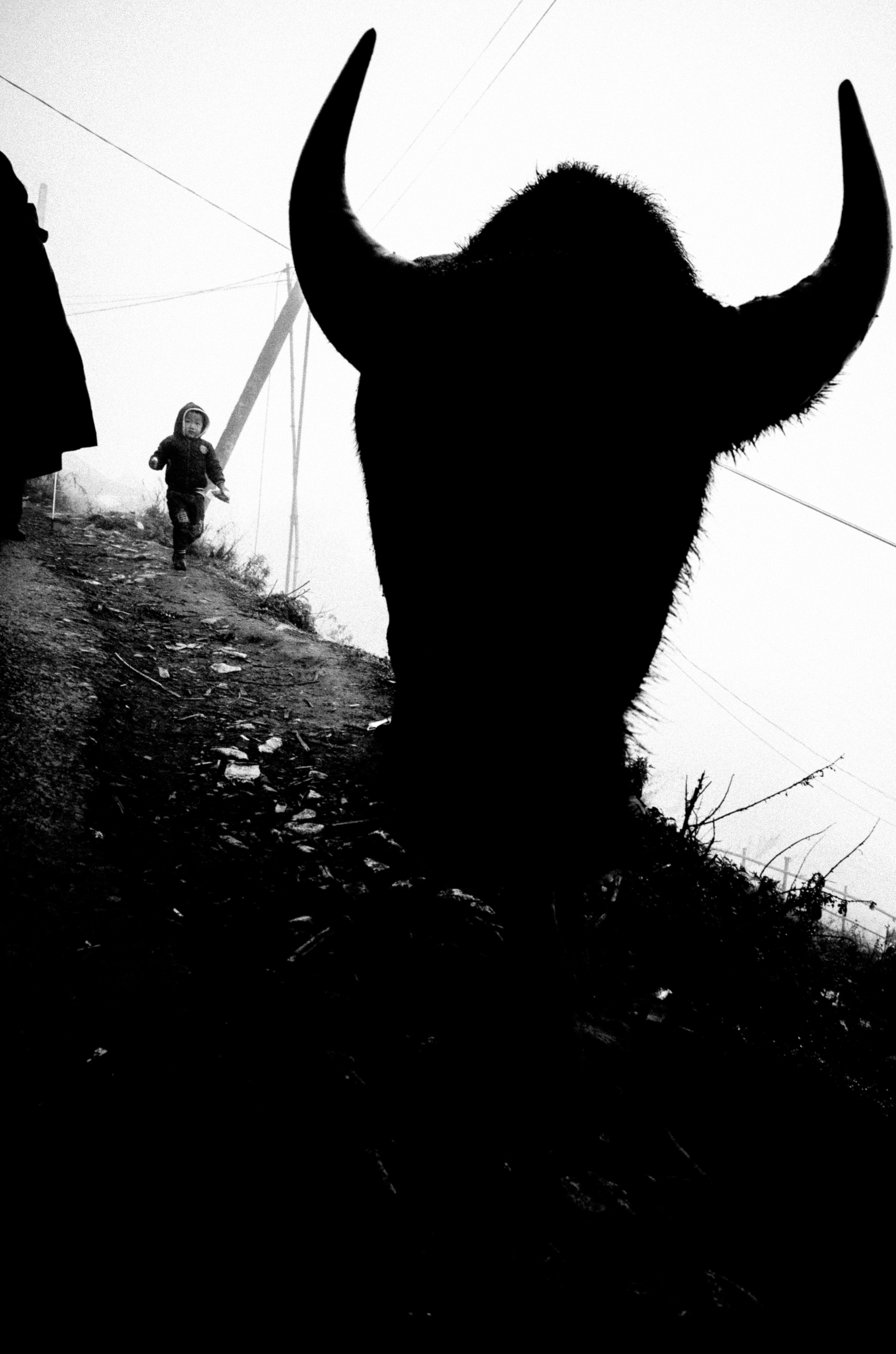 5 Tips How to Make Better Low Angle Photography Compositions – ERIC KIM