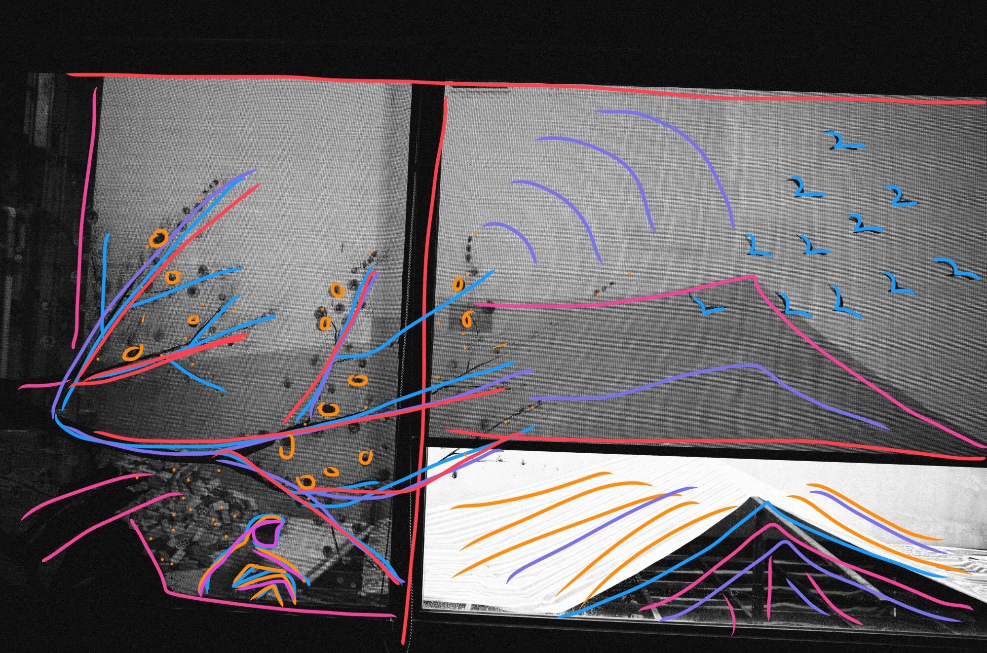 How to Make Better Compositions in Your Pictures – ERIC KIM