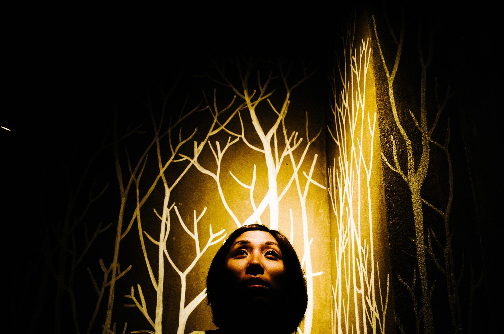 The Ultimate Beginner’s Guide to Color Photography – ERIC KIM