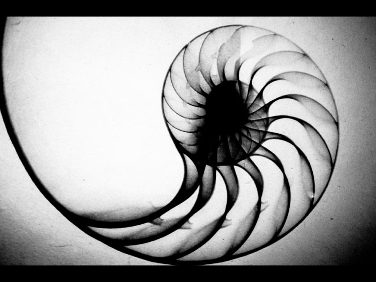 5 Essential Composition Tips in Photography – ERIC KIM