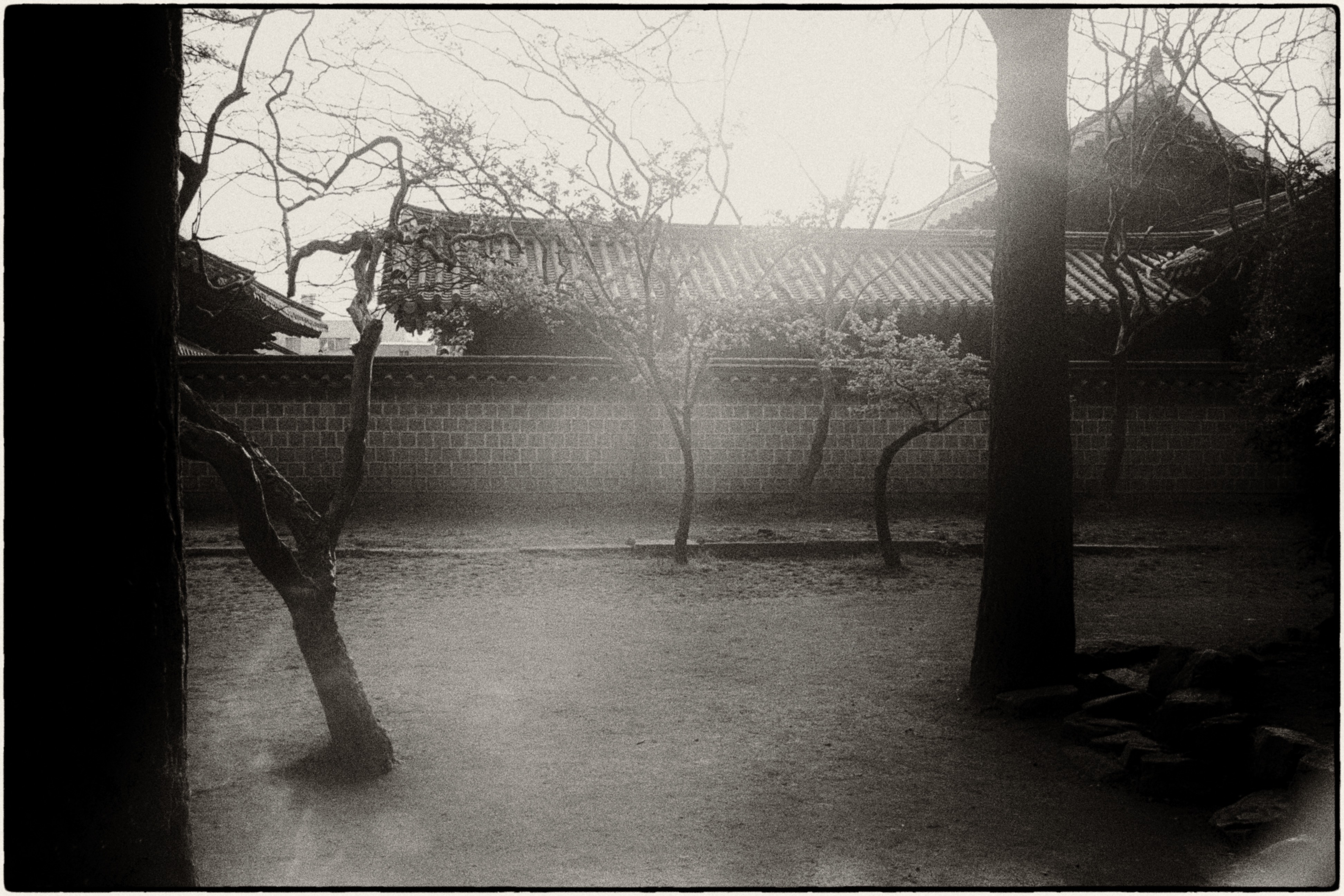 Why Josh White is My Favorite Contemporary Photographer - ERIC KIM