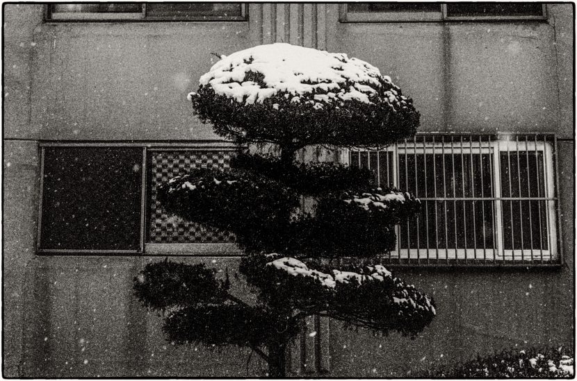 Why Josh White is My Favorite Contemporary Photographer – ERIC KIM