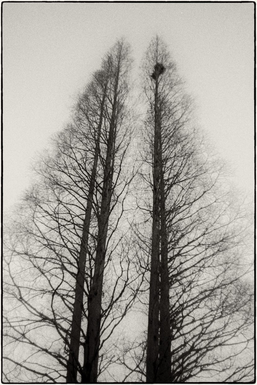 Why Josh White is My Favorite Contemporary Photographer – ERIC KIM