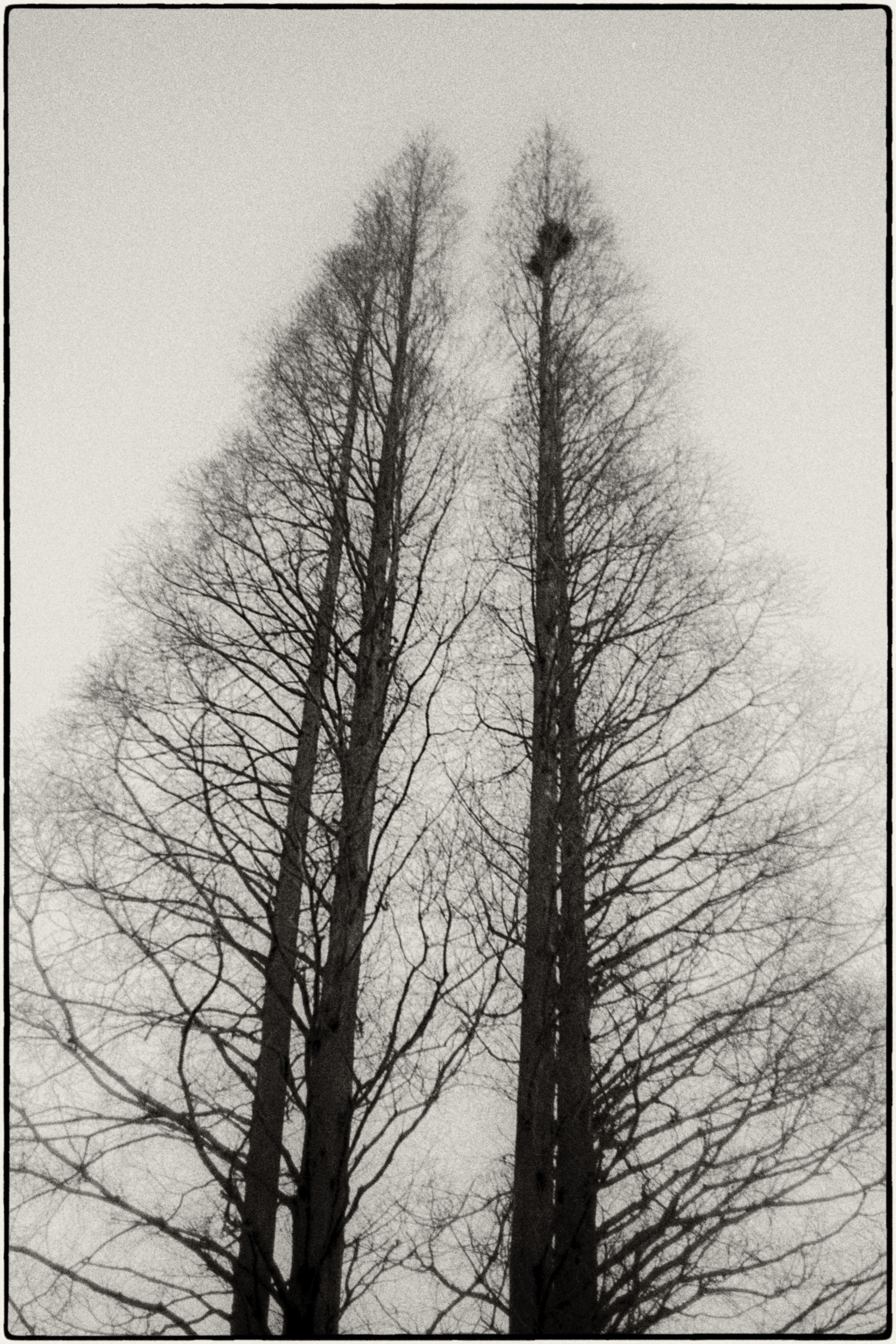 Why Josh White is My Favorite Contemporary Photographer - ERIC KIM