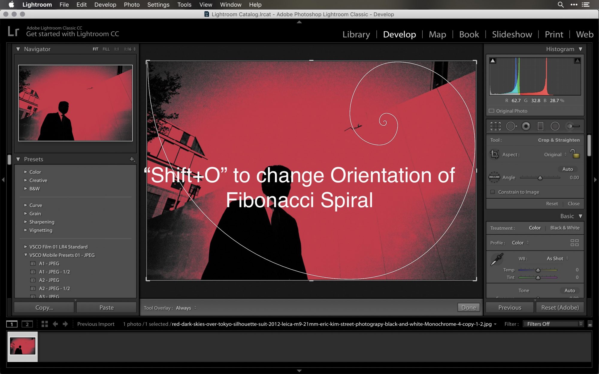 Fibonacci Spiral Photography Composition Tips – ERIC KIM