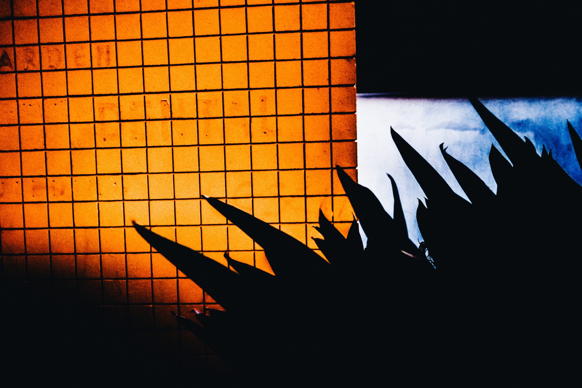 How to Create a Photo Collage - ERIC KIM