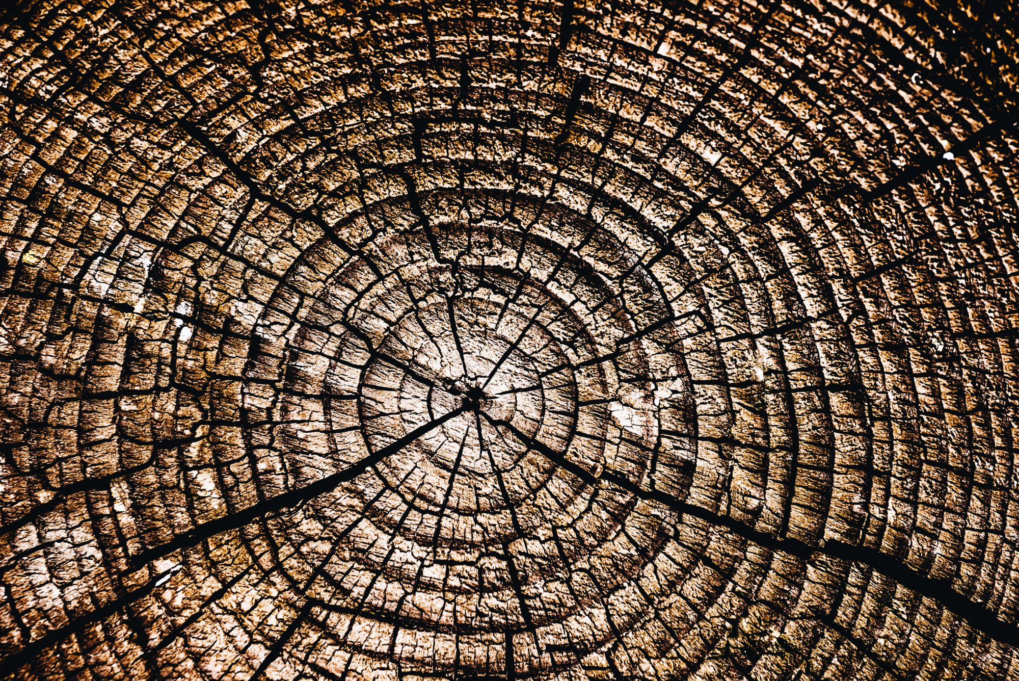 10 Tips How to Shoot More Interesting Photos