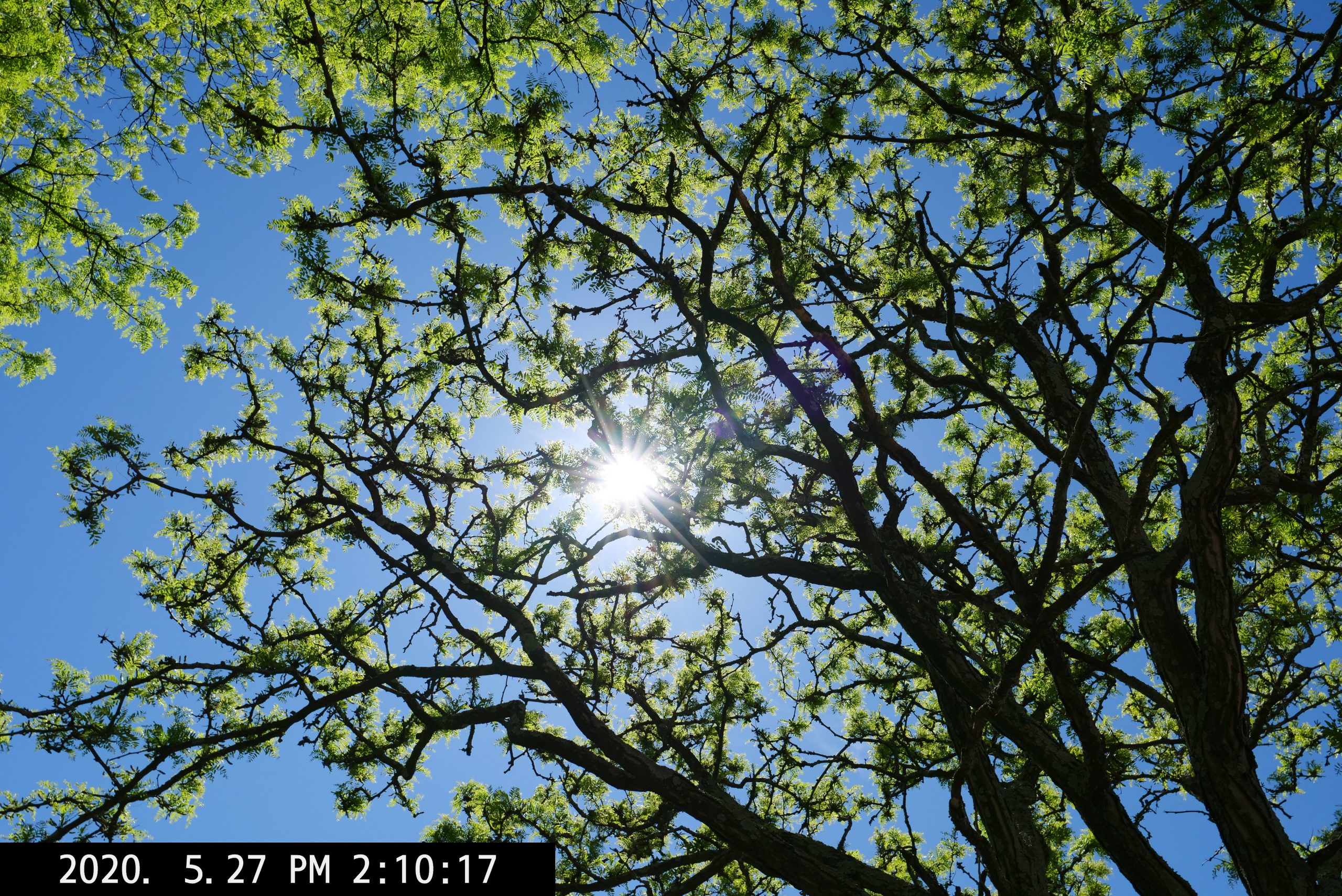 As Late as Possible (ALAP) - ERIC KIM