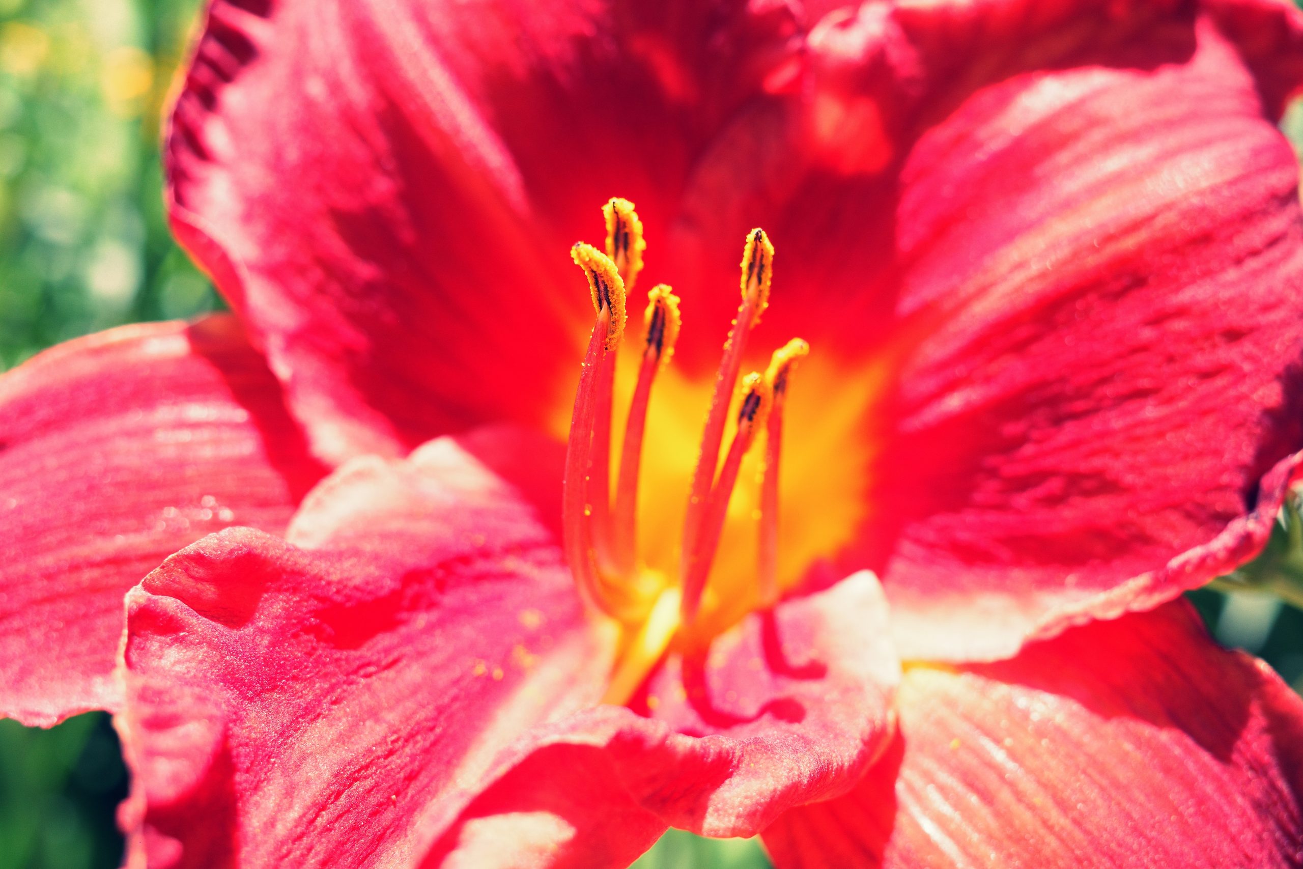 CAPE COD 2020 – spaceship ricoh gr iii 00698 – ERIC KIM