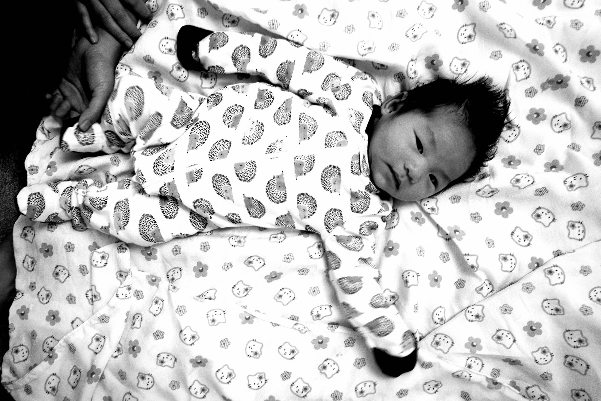 EK067766 – ERIC KIM