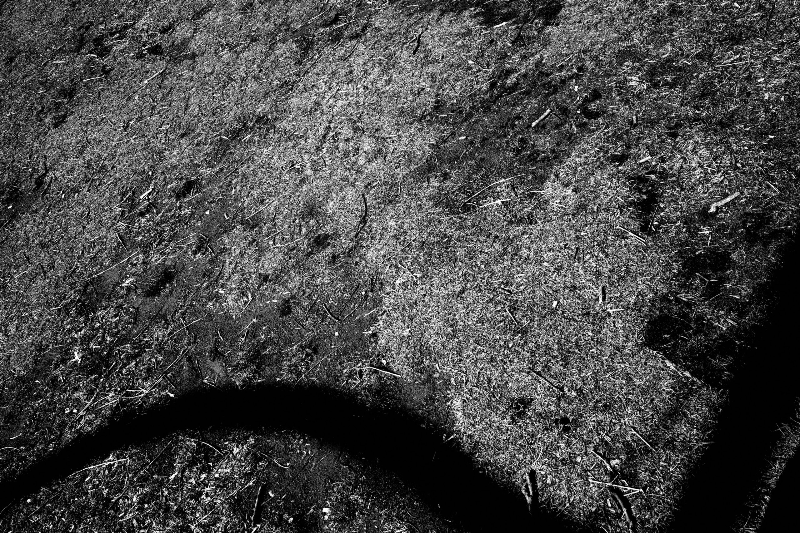 seneca 7 – 5 of 105 – ERIC KIM