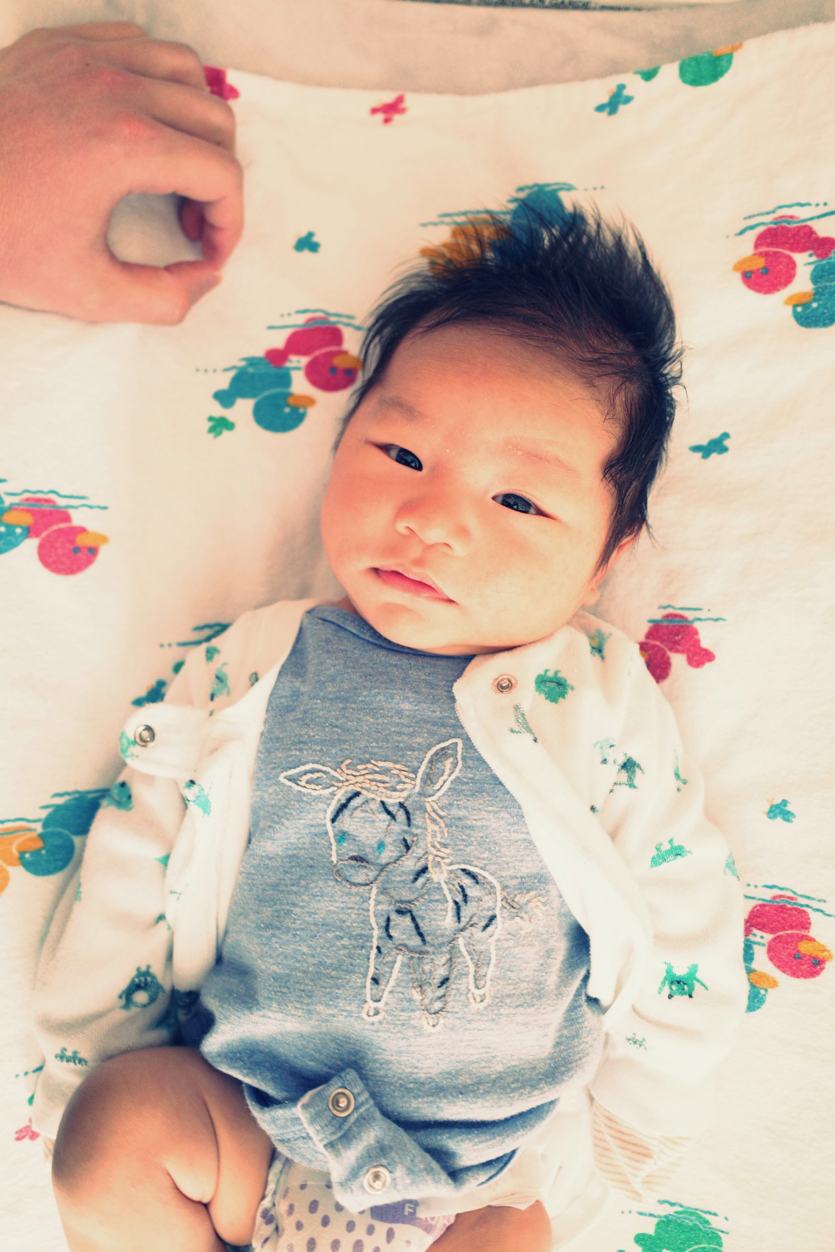 seneca 8 – 103 of 166 – ERIC KIM