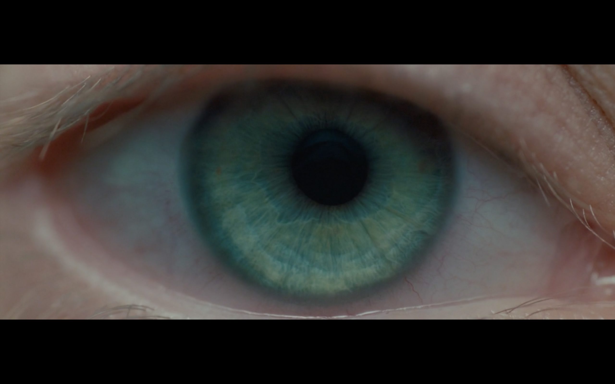 BLADE RUNNER (1982 Original) Cinematography Review & Thoughts vs the ...