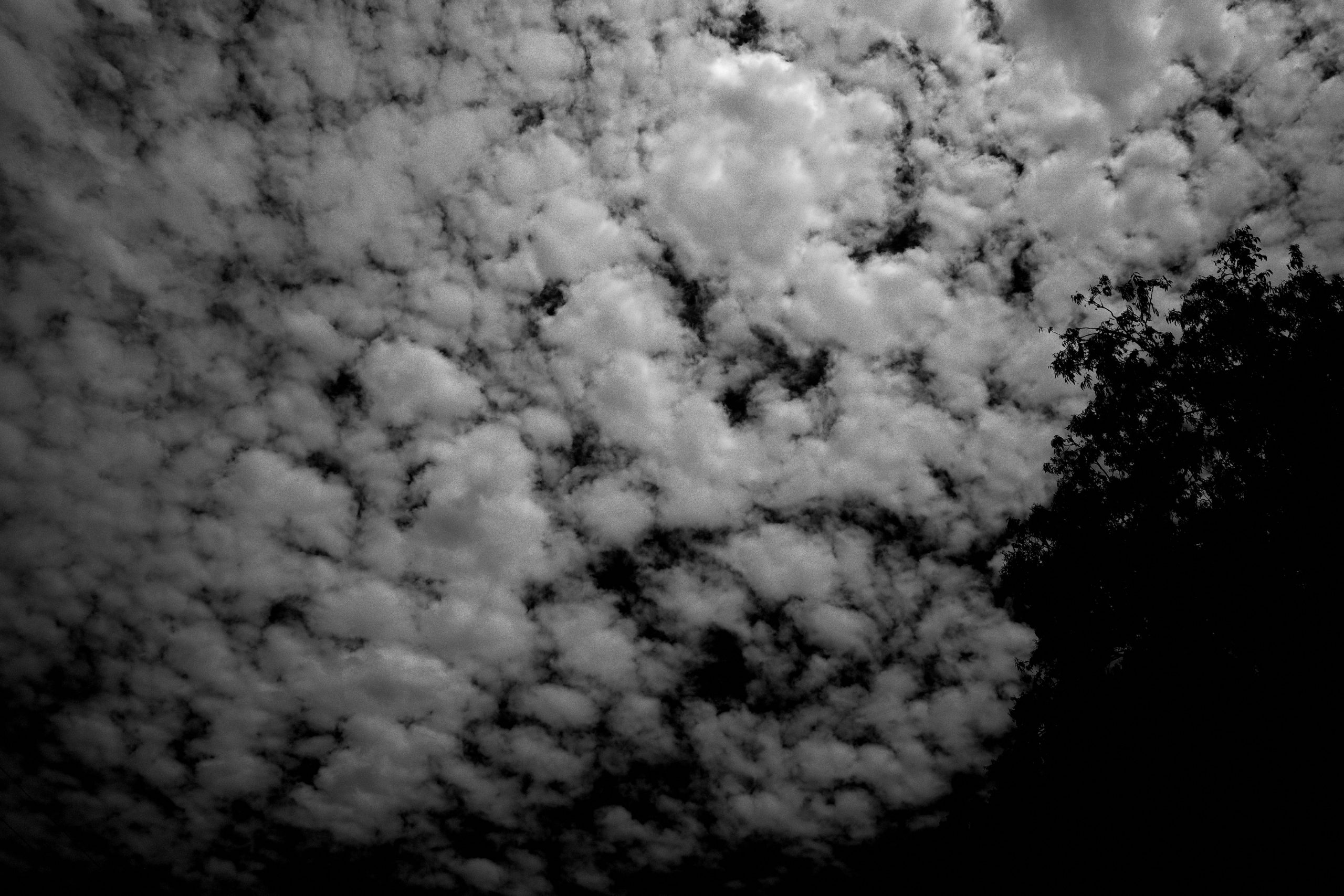 Subtraction in Photography - ERIC KIM