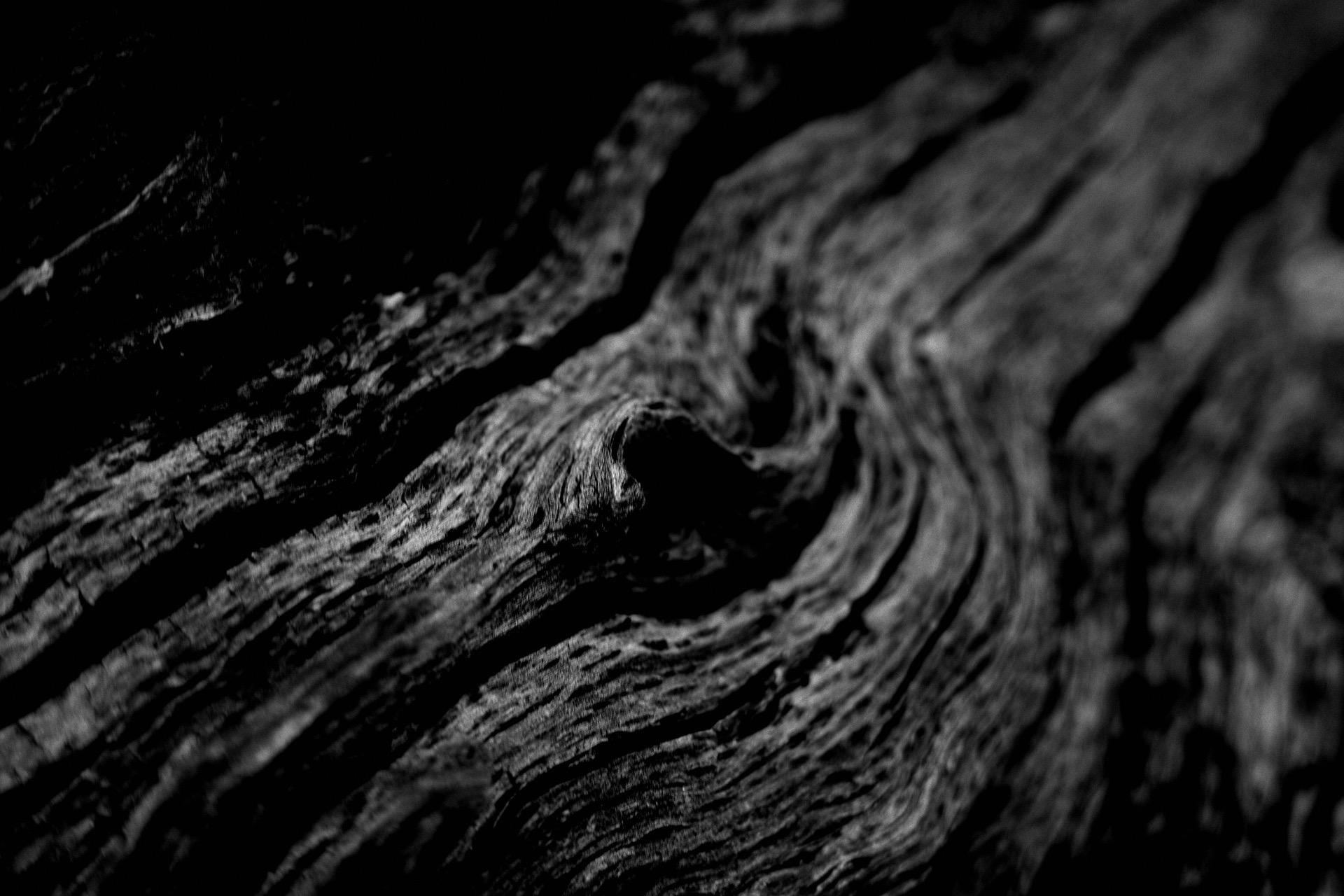 JAGGED PATTERNS. - ERIC KIM