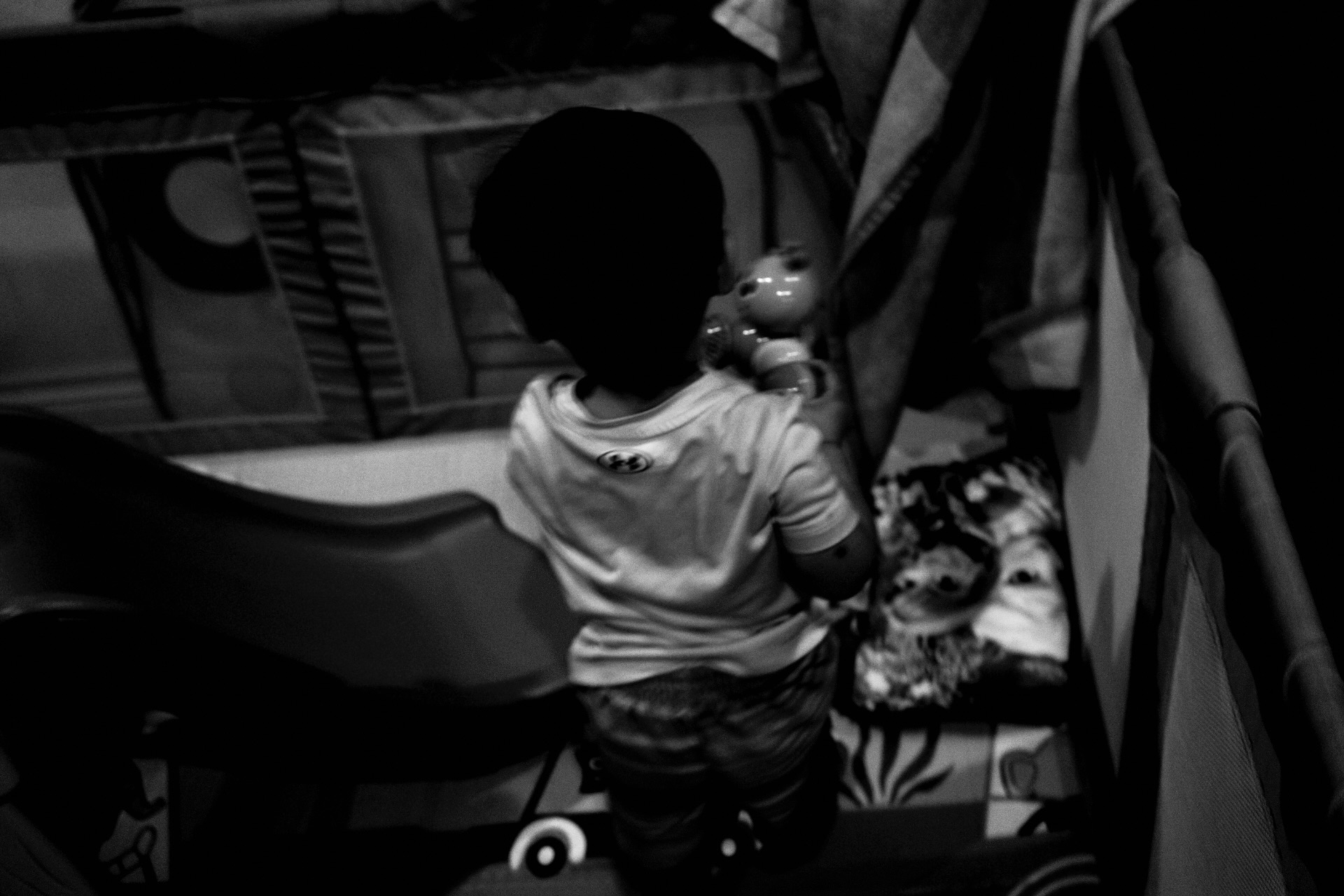 Seneca and appa – 8 of 14 – ERIC KIM